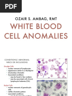 Rodak 7th | PDF | Blood Cell | Red Blood Cell