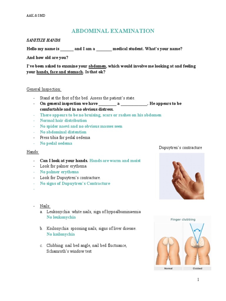 Abdominal Exam | PDF | Abdomen | Medical Specialties