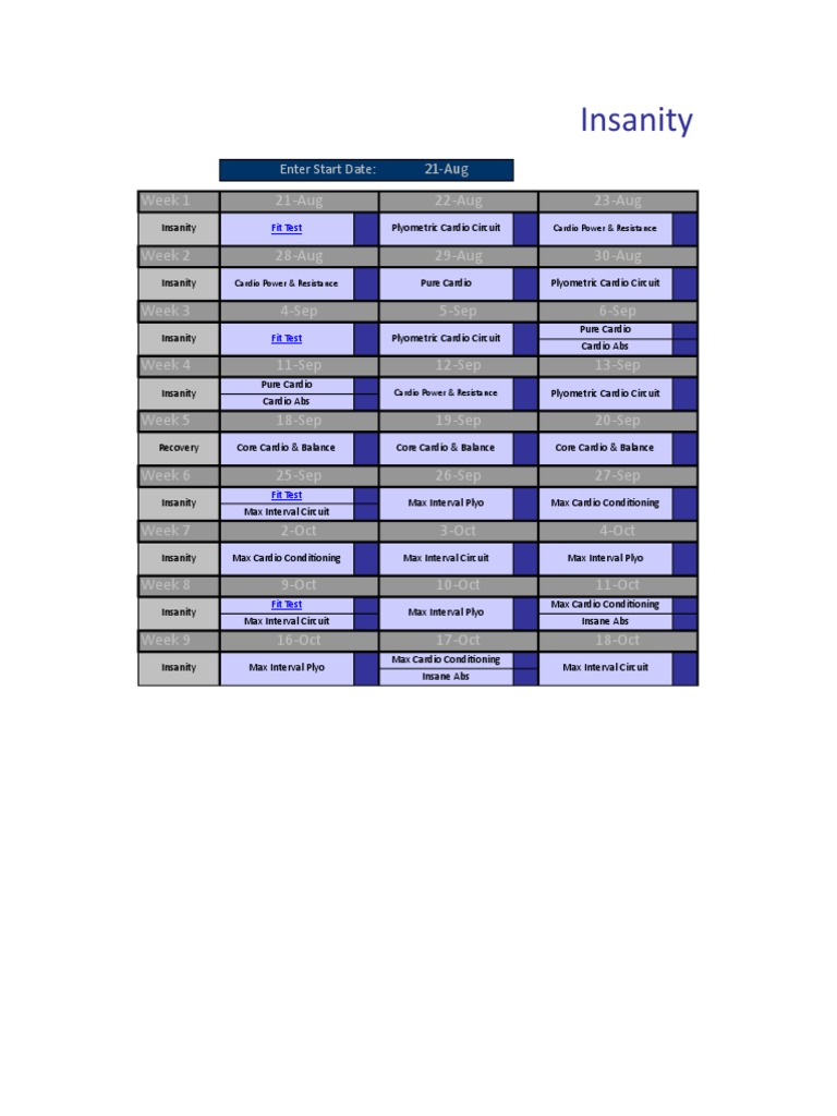 Insanity Workout Excel Worksheet | PDF | Recreation | Human Body