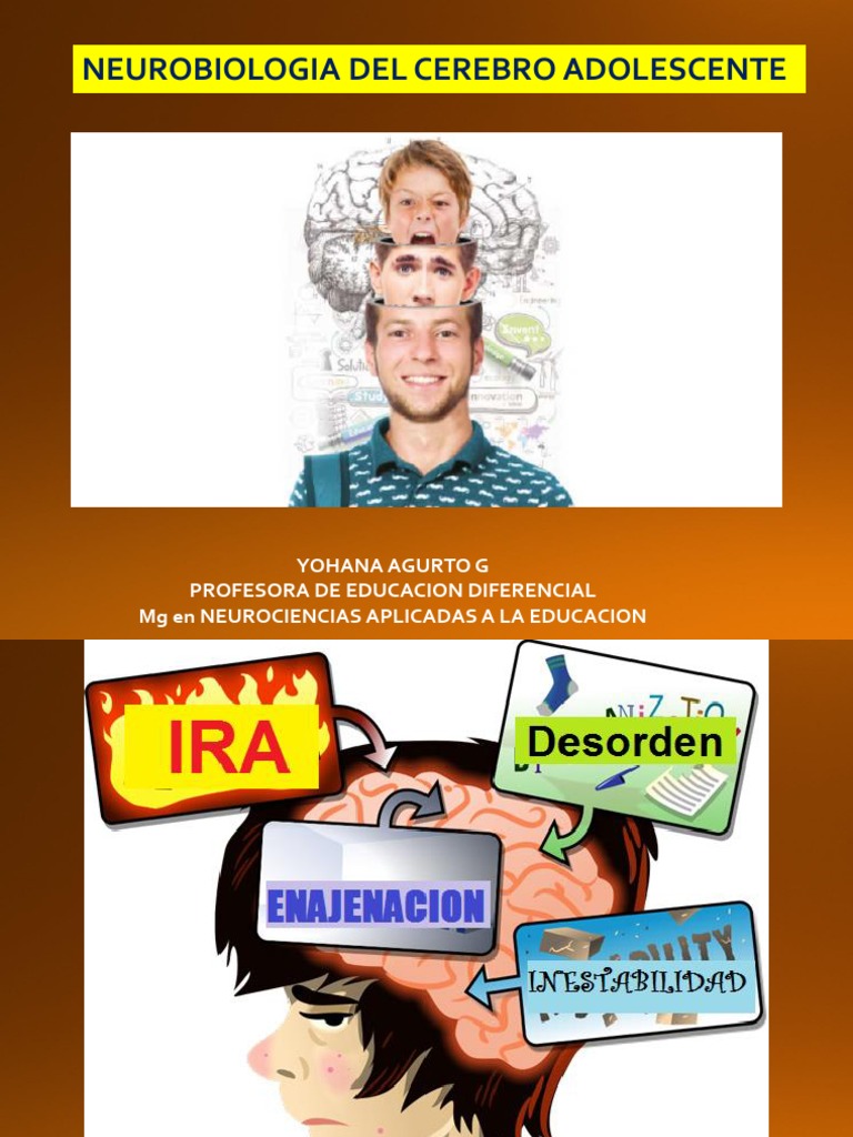 Cerebro Adolescente | PDF | Las emociones | Corteza prefrontal