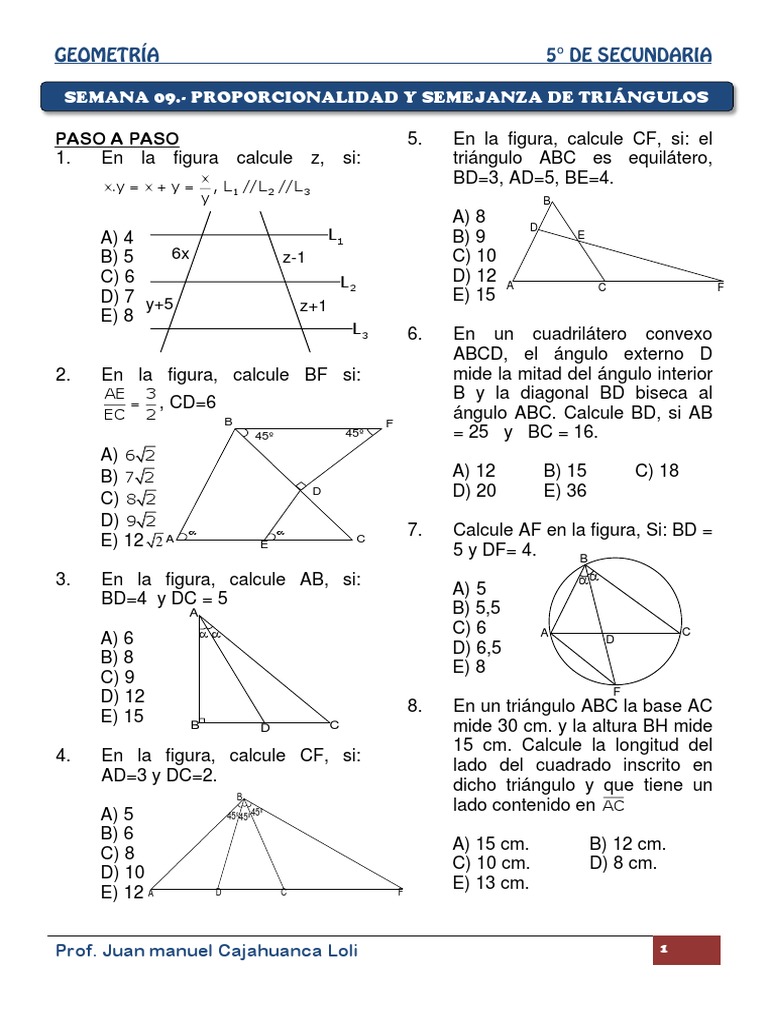 09.- PROPORCIONALIDAD Y SEMEJANZA.pdf