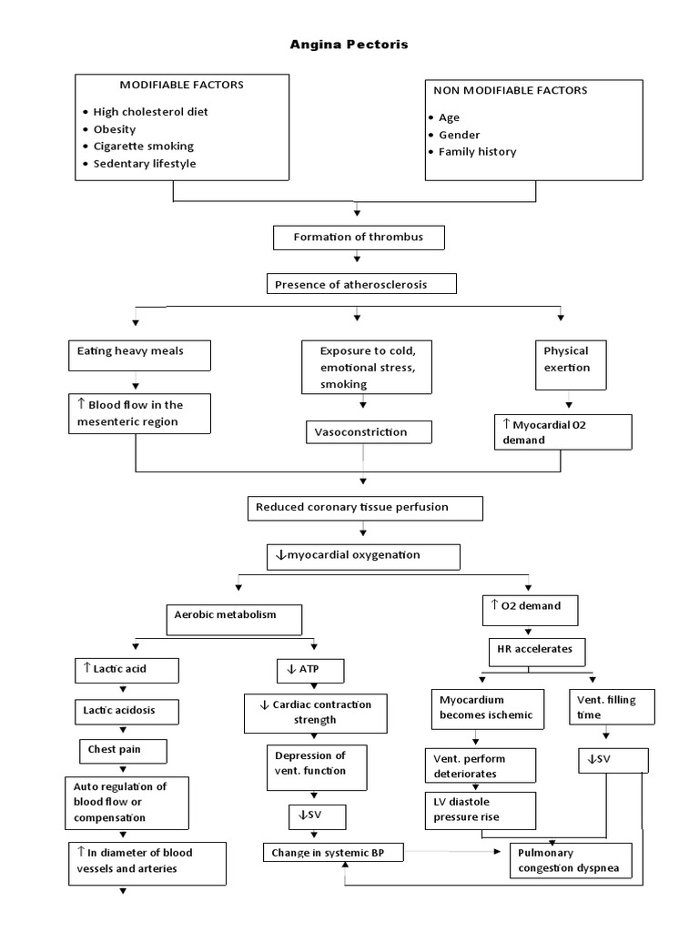 Angina Pectoris Pathophysiology
