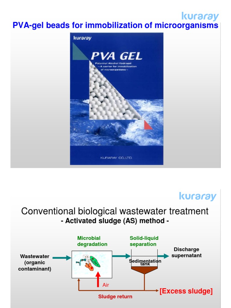 PVA Gel Beads English | Sewage Treatment | Anaerobic Digestion