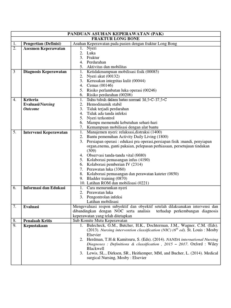 Panduan Asuhan Keperawatan | PDF