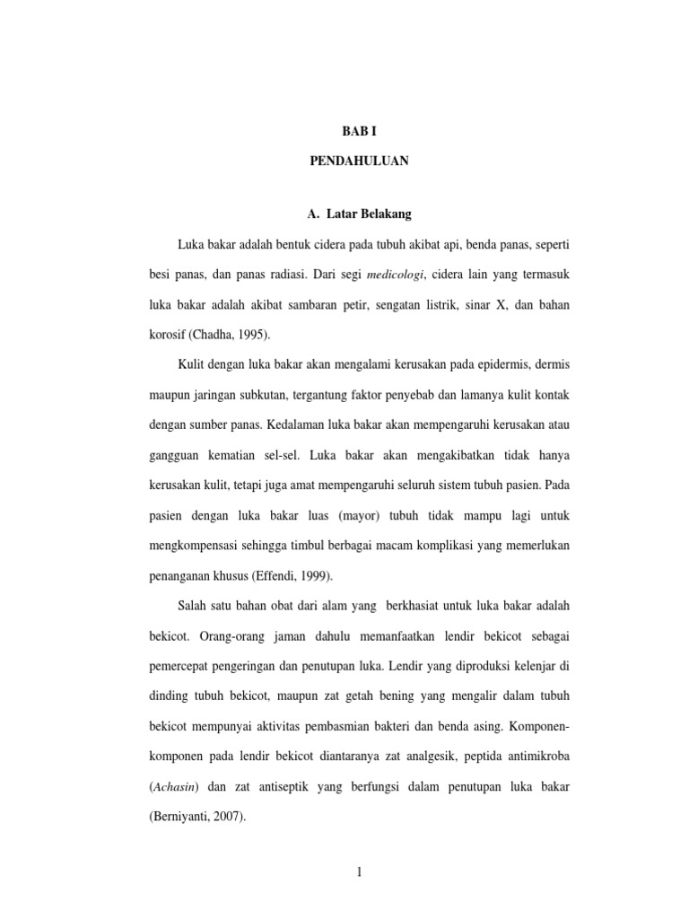 Luka Bakar PDF | PDF