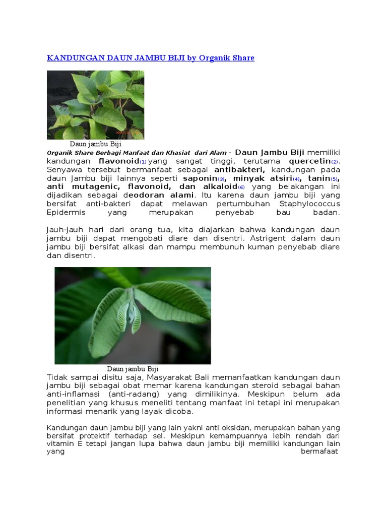Kandungan Daun Jambu Biji by Organik Share | PDF