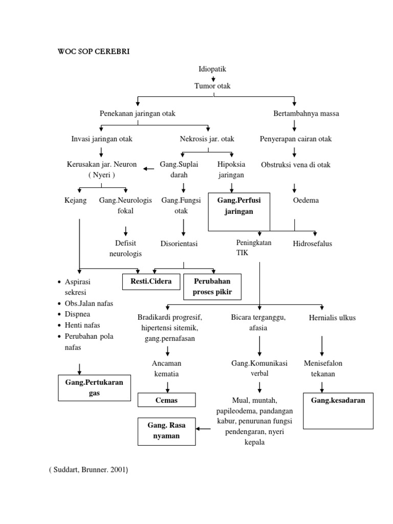 Pathway Tumor Otak dan Gejalanya | PDF