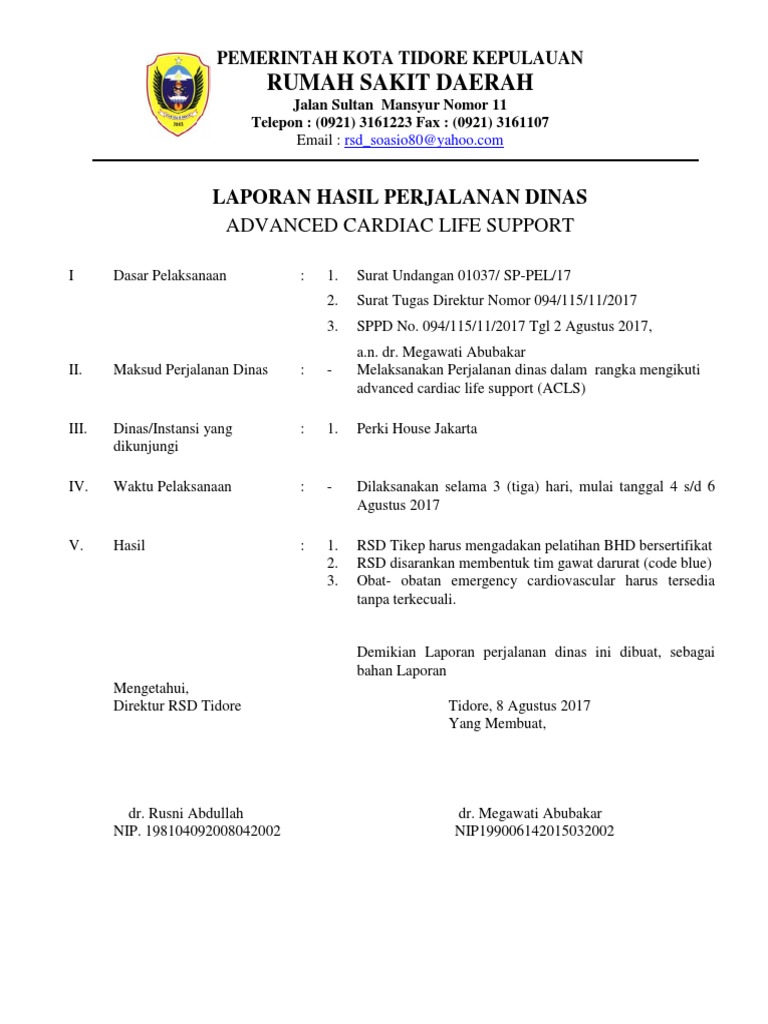 Format Laporan Perjalanan Dinas | PDF