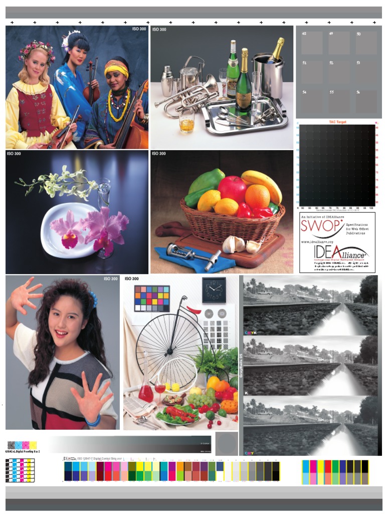 SWOP Proofing 17x21 Visual 1107 | PDF | Monopoly (Economics) | Social ...