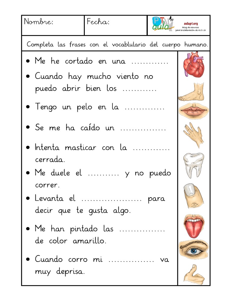 Comprensión Lectora Partes Del Cuerpo. 1 PDF | PDF