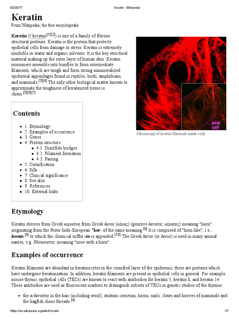 Keratin: From Wikipedia, The Free Encyclopedia | PDF | Cell Biology ...