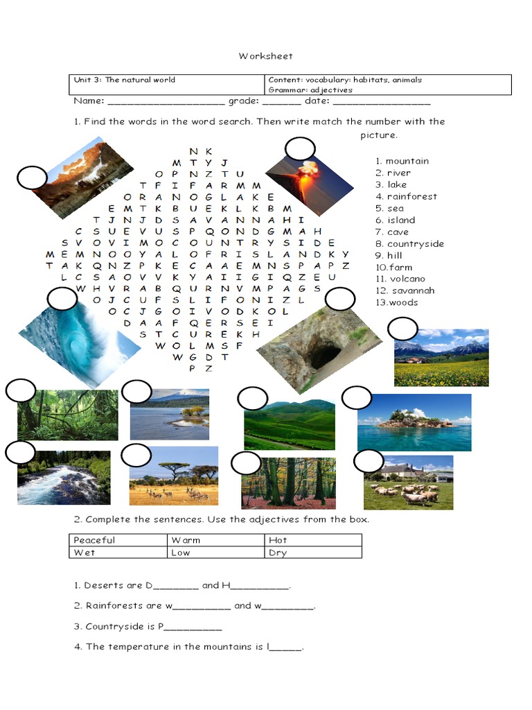 Unit 3: The Natural World Content: Vocabulary: Habitats, Animals ...
