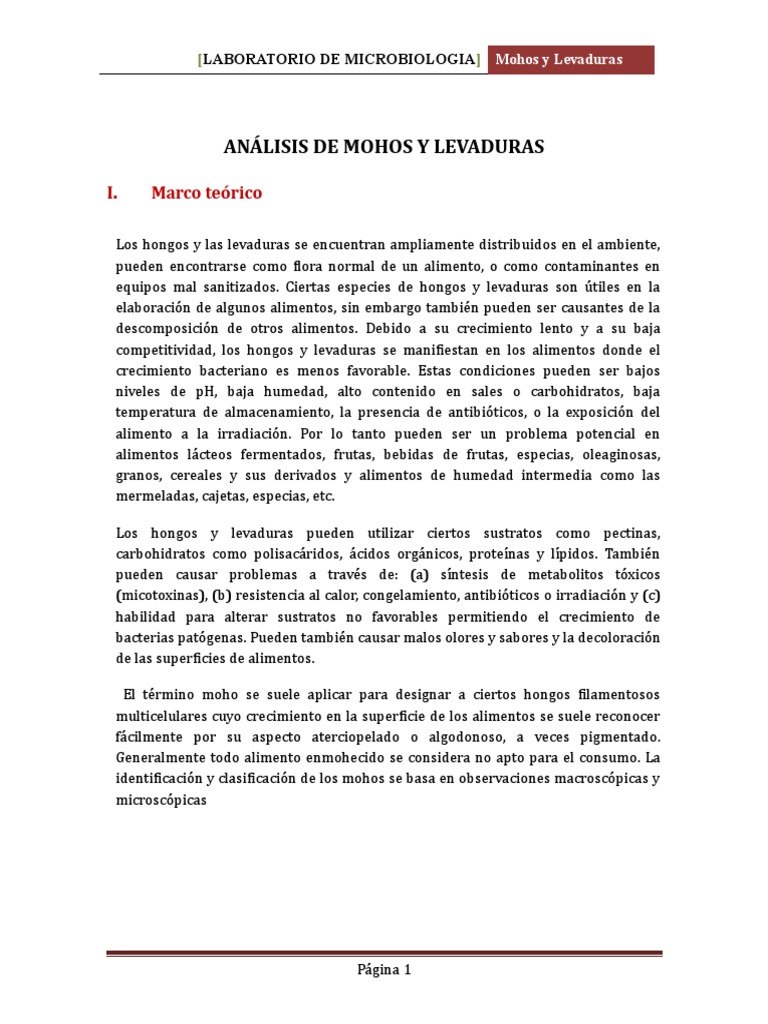 Identificacion de Mohos y Levaduras | PDF | Levadura | Hongo