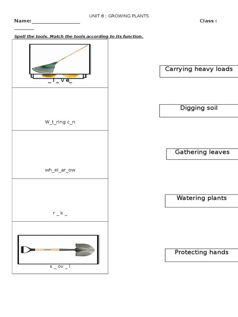 Growing Plants Worksheet | PDF