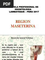 Región Maseterina | PDF | Salud y bienestar