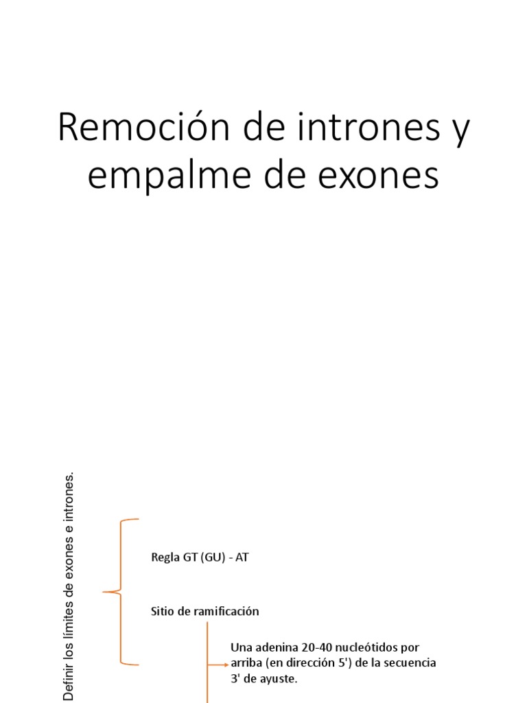 Remoción de Intrones y Empalme de Exones | PDF