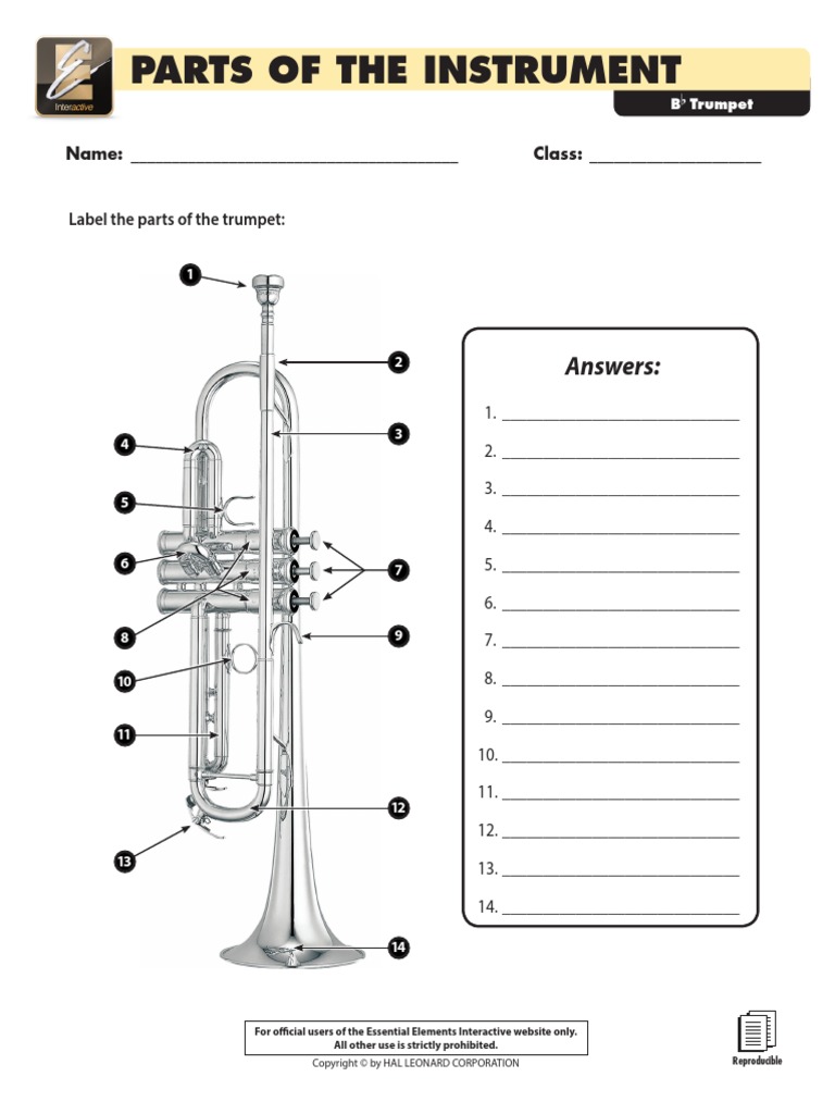 Parts of The Instrument: Answers | PDF