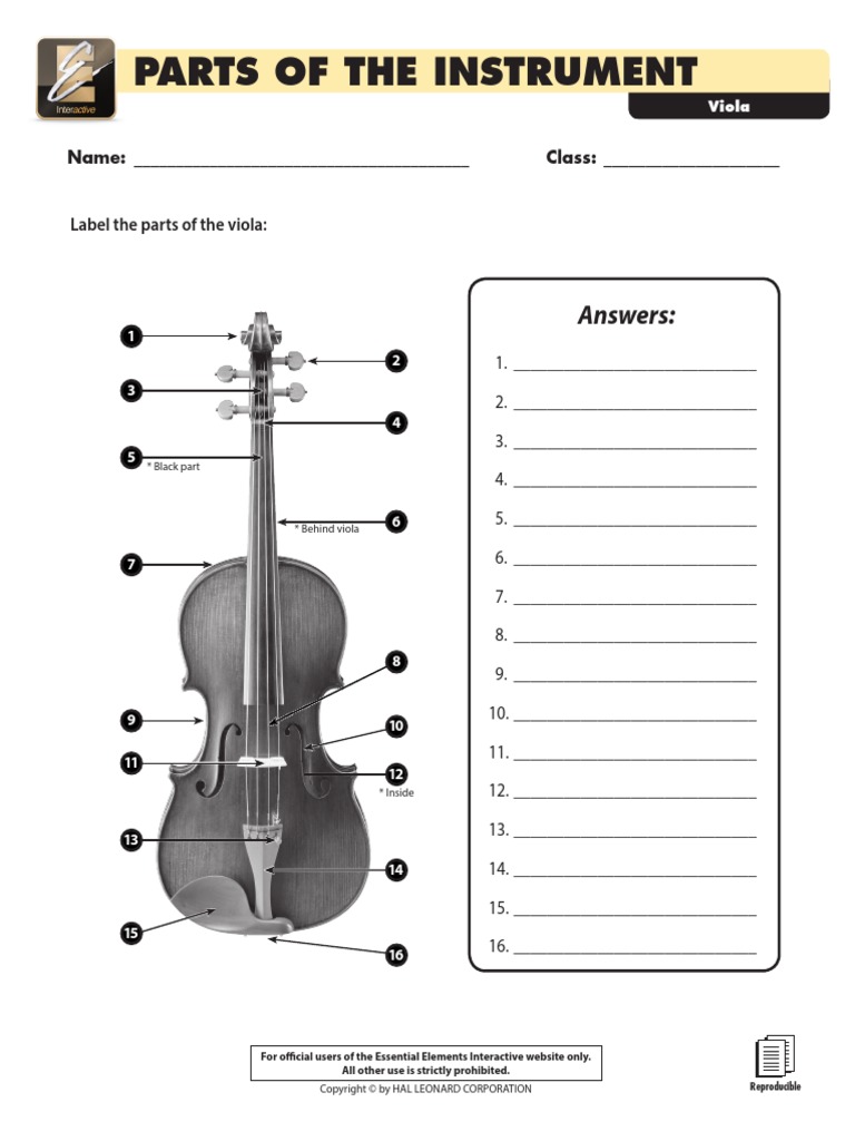 Parts of The Instrument - Viola | PDF | Copyright Law | Law