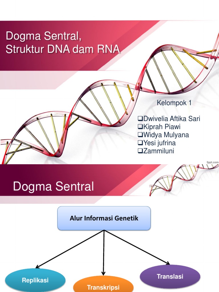 Aliran Informasi Genetik (Dogma Sentral, Struktur DNA Dan RNA