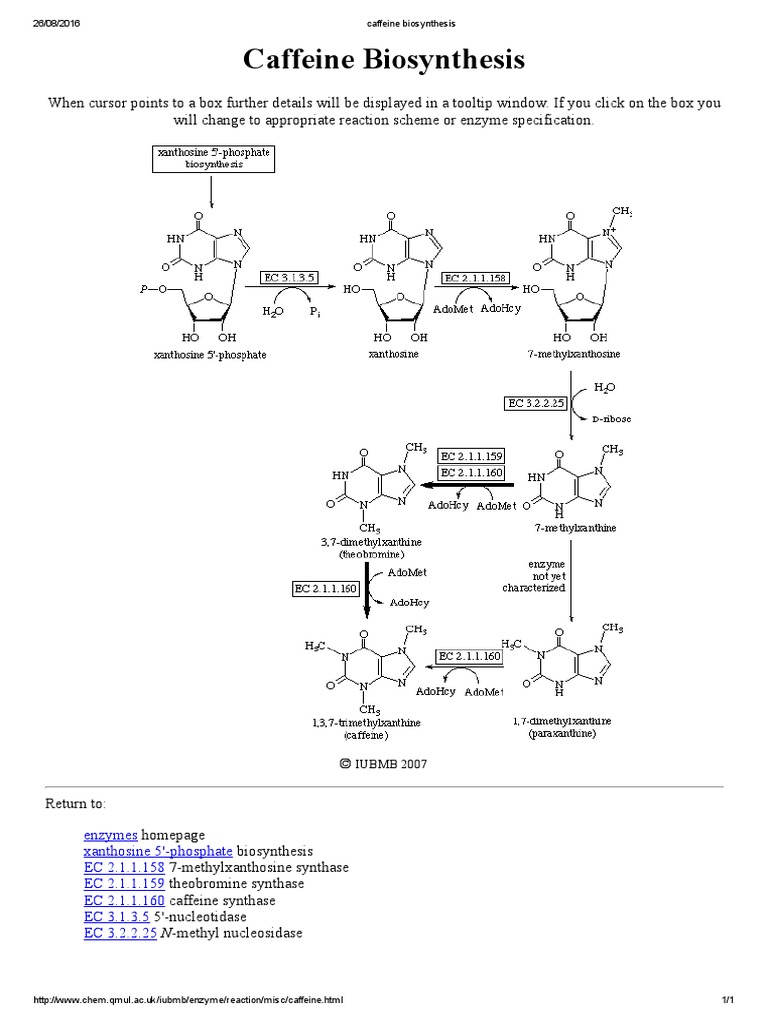 Caffeine Biosynthesis: Enzymes Xanthosine 5' Phosphate EC 2.1.1.158 EC ...