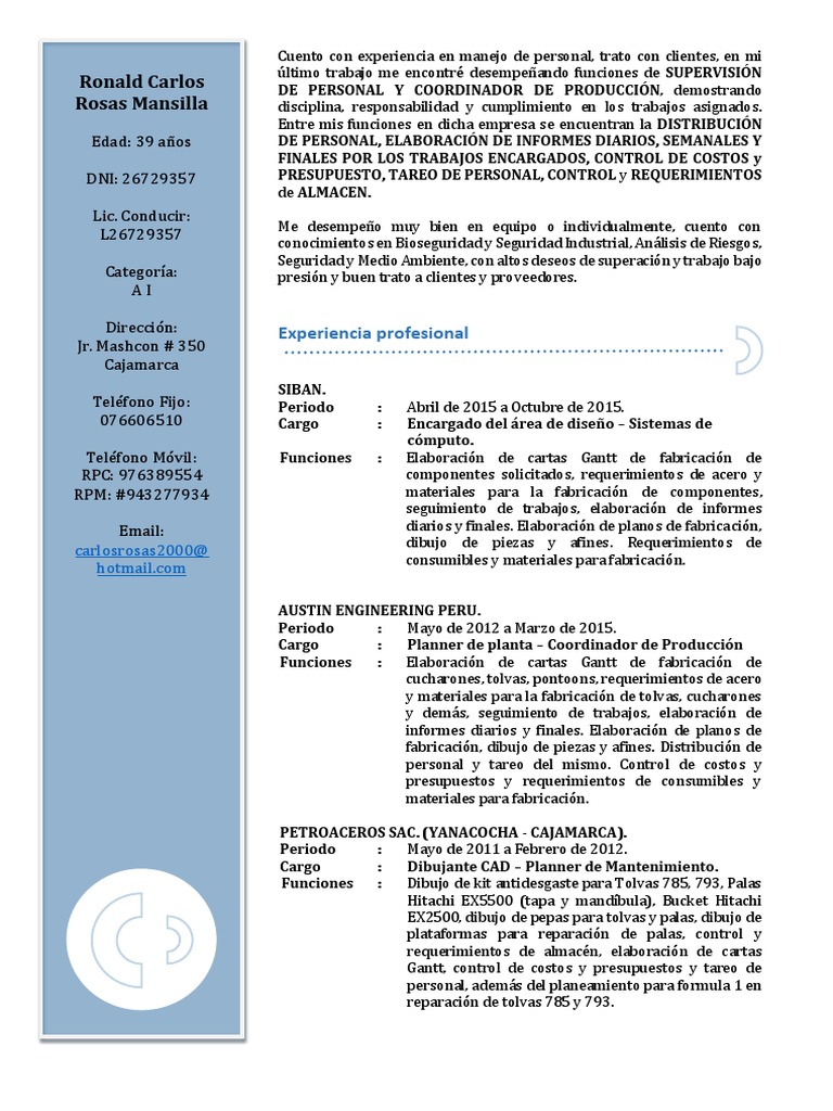 CV Ronald Rosas | PDF | Microsoft | Microsoft Windows