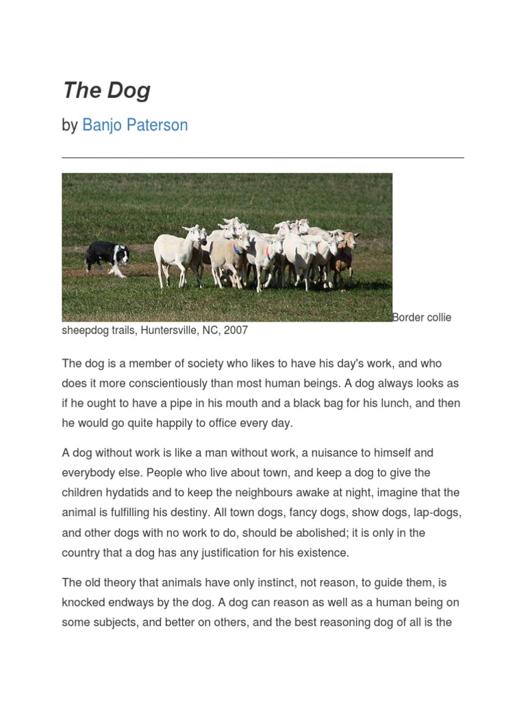 The Dog: Banjo Paterson | PDF | Herding Dogs | Animals And Humans