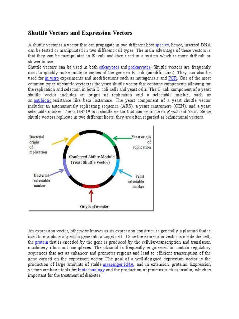 Comparing Shuttle Vectors and Expression Vectors: Their Uses, Components, and Differences | PDF ...