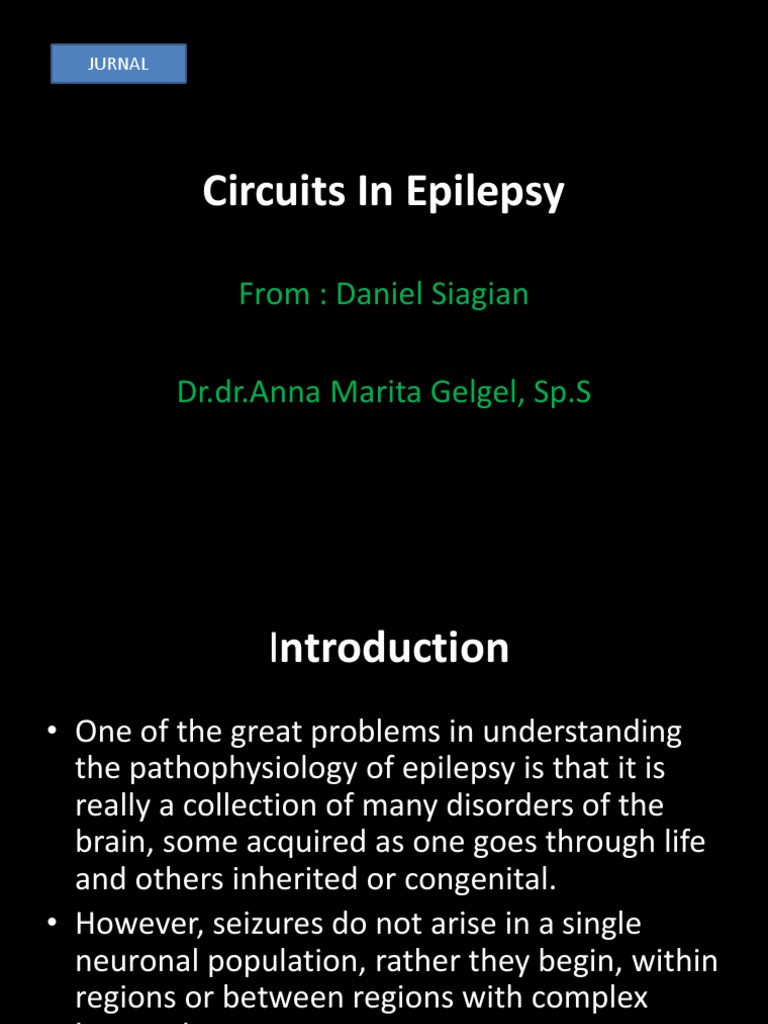 Understanding Epilepsy Circuits | PDF | Limbic System | Thalamus