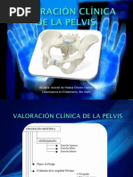 Curva de Scammon | PDF | Estilo de vida