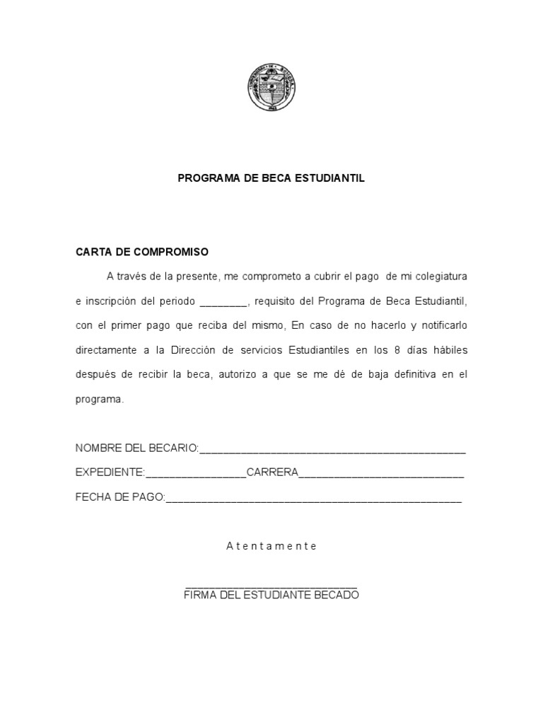 FORMATO CARTA COMPROMISO