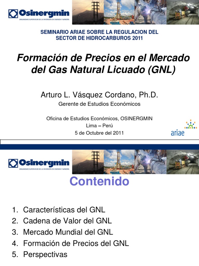 Precios del GNL: Mercado y Perspectivas | PDF | Gas combustible | Gas natural licuado