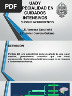 Choque Neurogenico | PDF | Médula espinal | Lesión