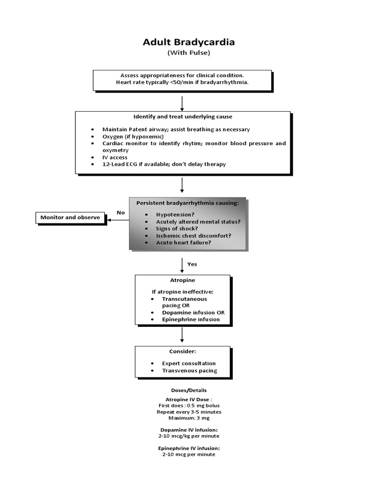 Adult Bradycardia Treatment Guidelines | PDF