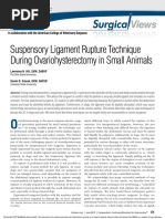 Kitty Magic | PDF | Anesthesia | Surgery