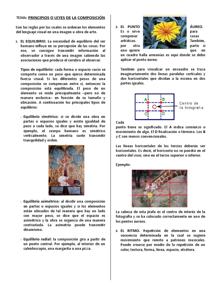 Leyes de La Composición Artistica | PDF | Composición (artes visuales ...