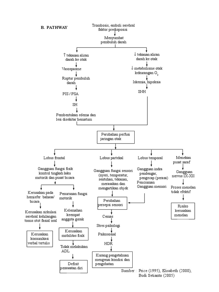 Pathway Trombosis dan Stroke | PDF