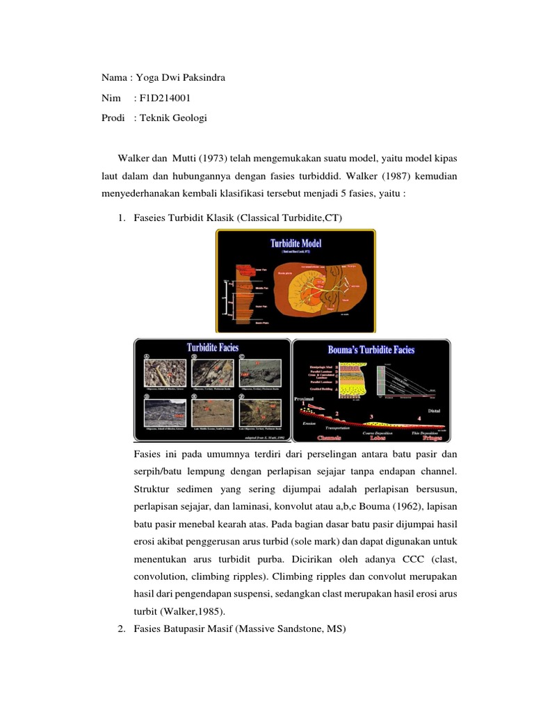 5 Macam Fasies | PDF | Sains & Matematika