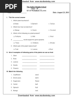 Class 3 EVS Worksheets | PDF | Leaf | Plants