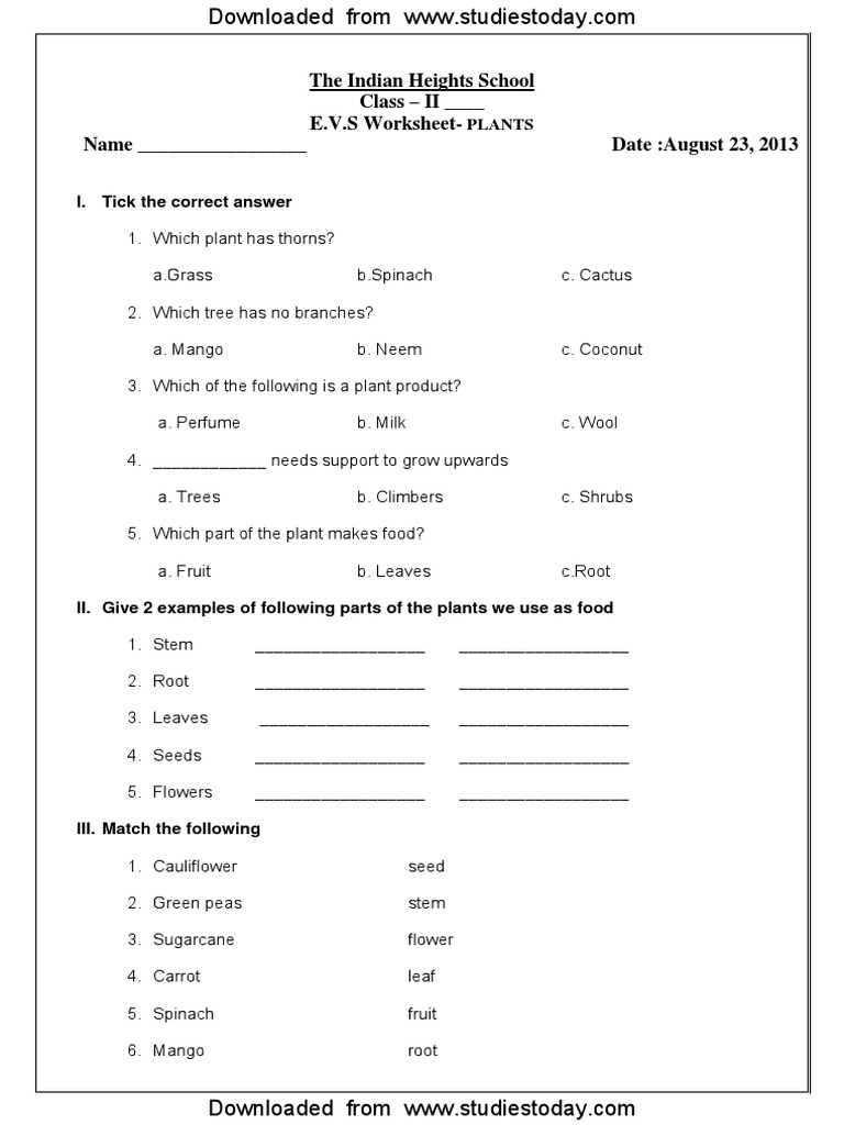 Class 2 EVS Worksheet on Plants | PDF | Plants | Trees