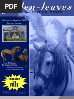 Side Eye Horse Meme Explained | PDF | World Wide Web | Internet & Web