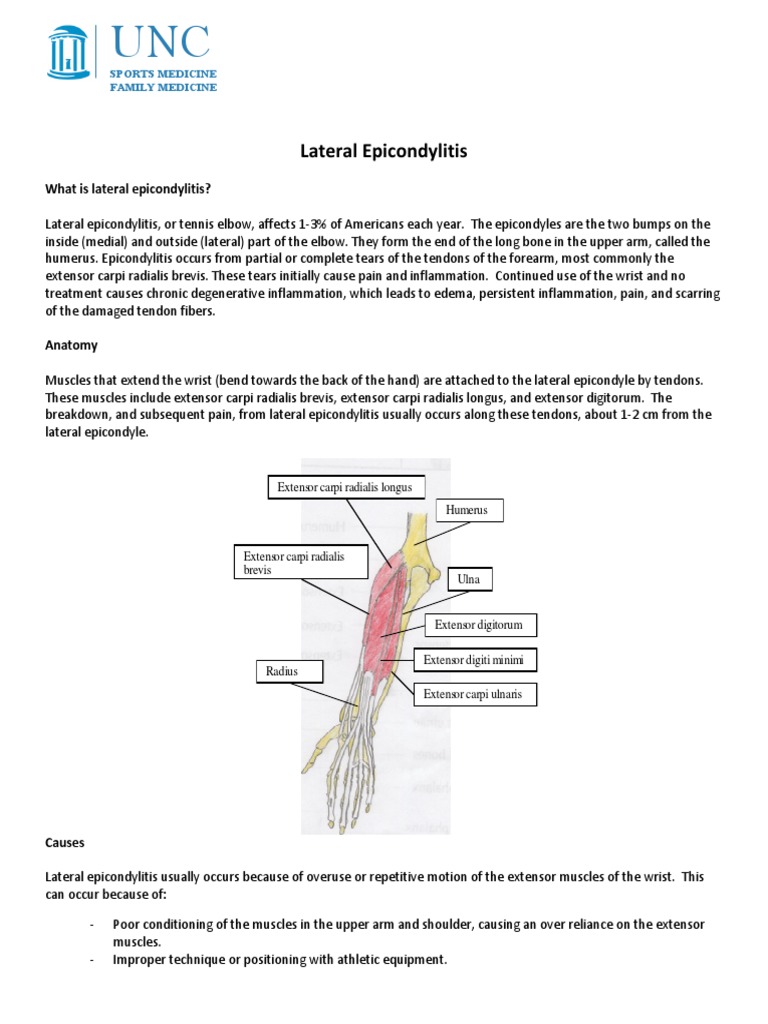 Lateral Epicondylitis - Tennis Ellbow Handout | PDF | Elbow | Human Anatomy
