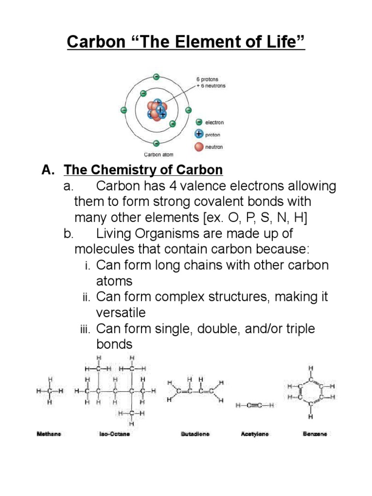 TC 12 Carbon Based Molecules | PDF