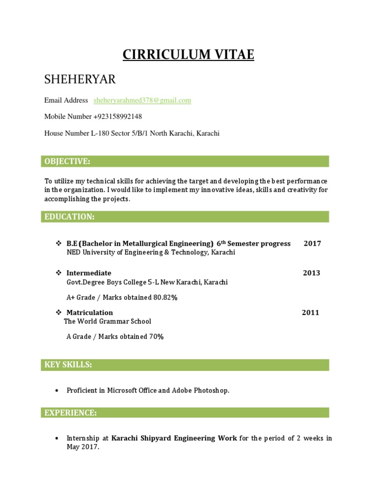 Cirriculum Vitae | PDF