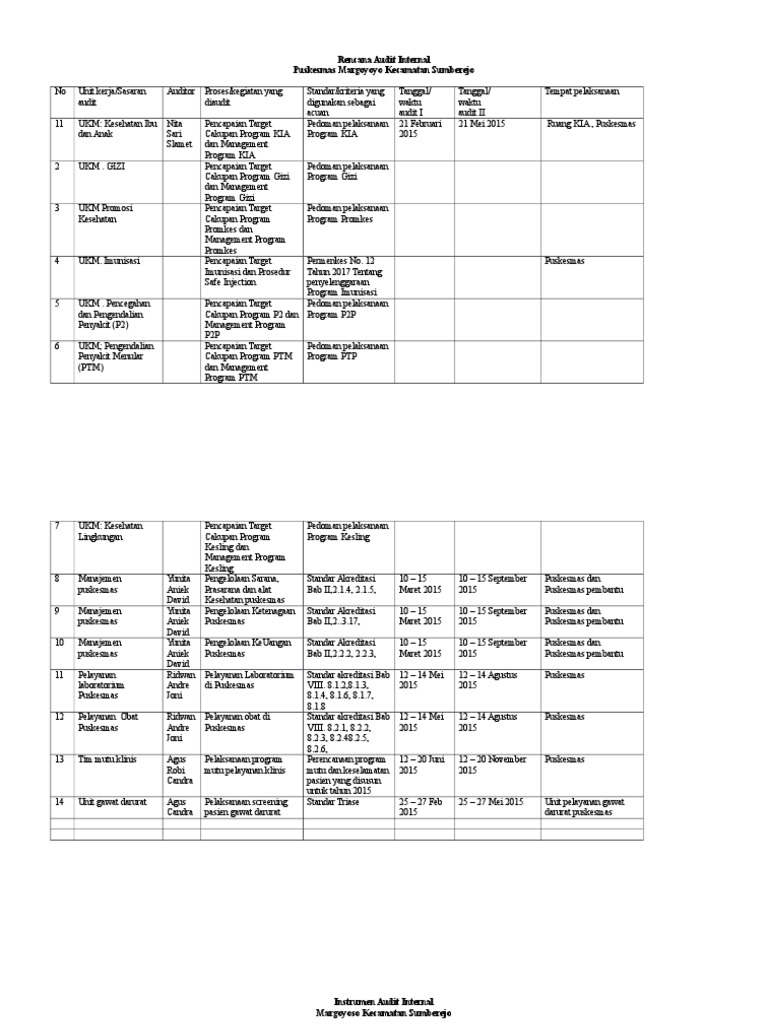 Contoh Audit Plan | PDF