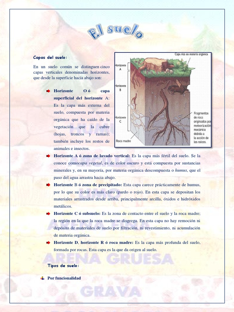 Capas del Suelo y Tipos de Suelos | PDF | Suelo | Roca (geología)