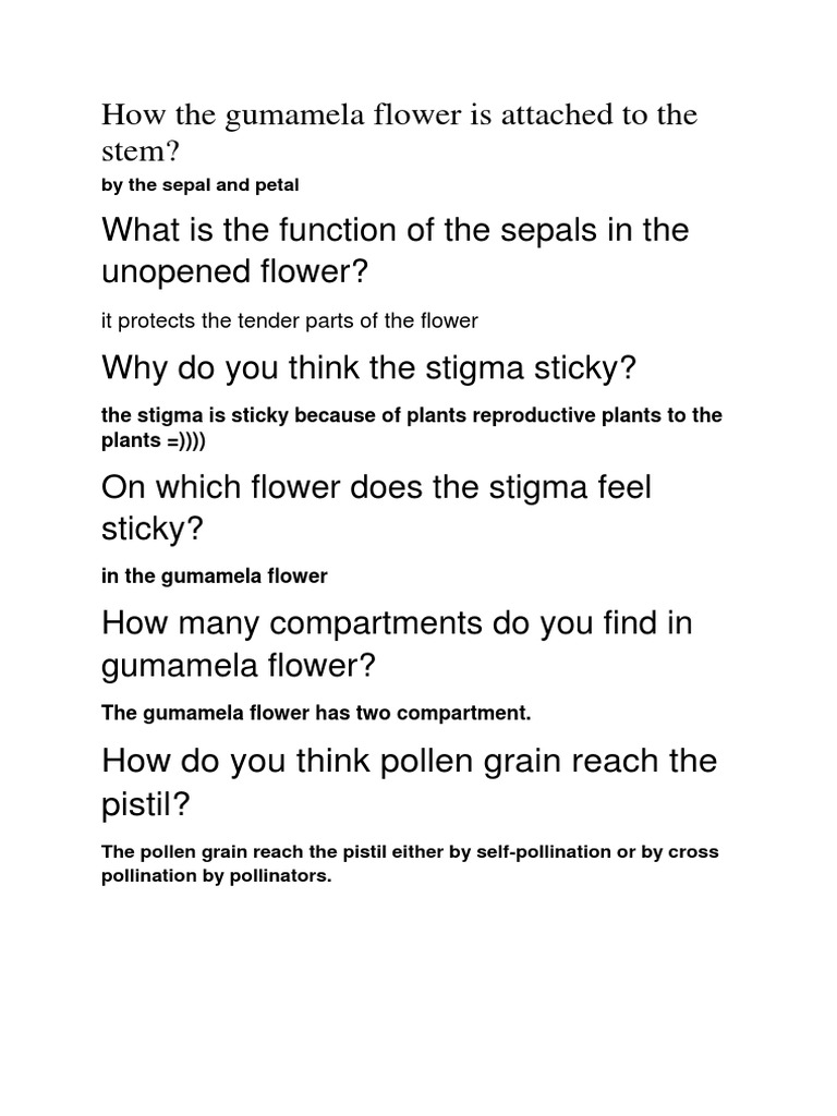 Functions of Gumamela Flower Parts | PDF