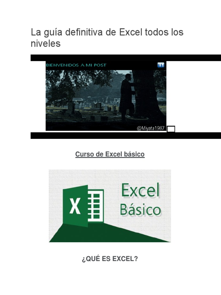 La Guía Definitiva de Excel Todos Los Niveles | PDF | Microsoft Excel ...