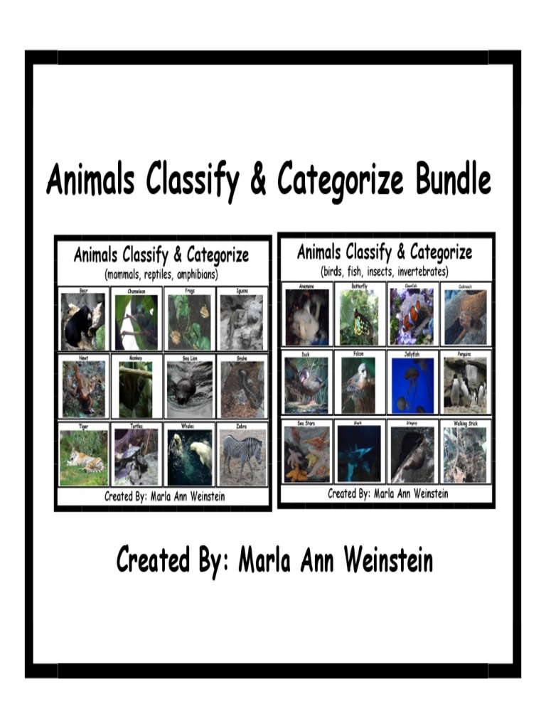 Animals Classify Categorize Bundle | PDF