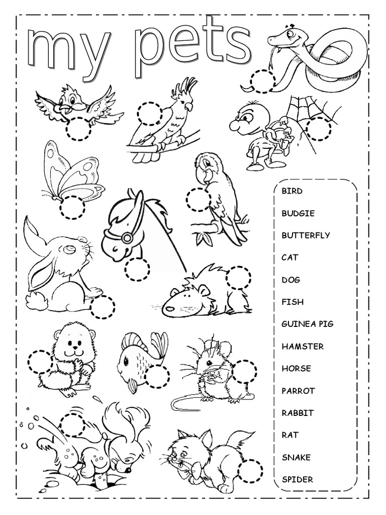 Bird Budgie Butterfly CAT DOG Fish Guinea Pig Hamster Horse Parrot ...