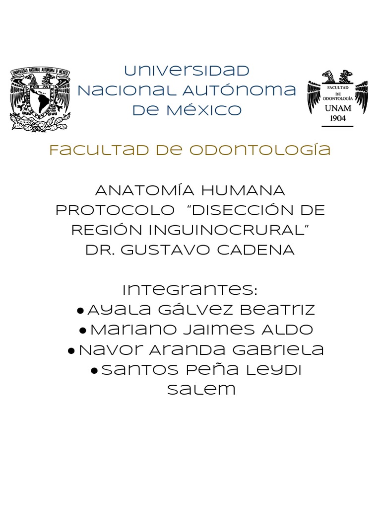 Disección de Región Inguinocrural | PDF | Pelvis | Sistema ...